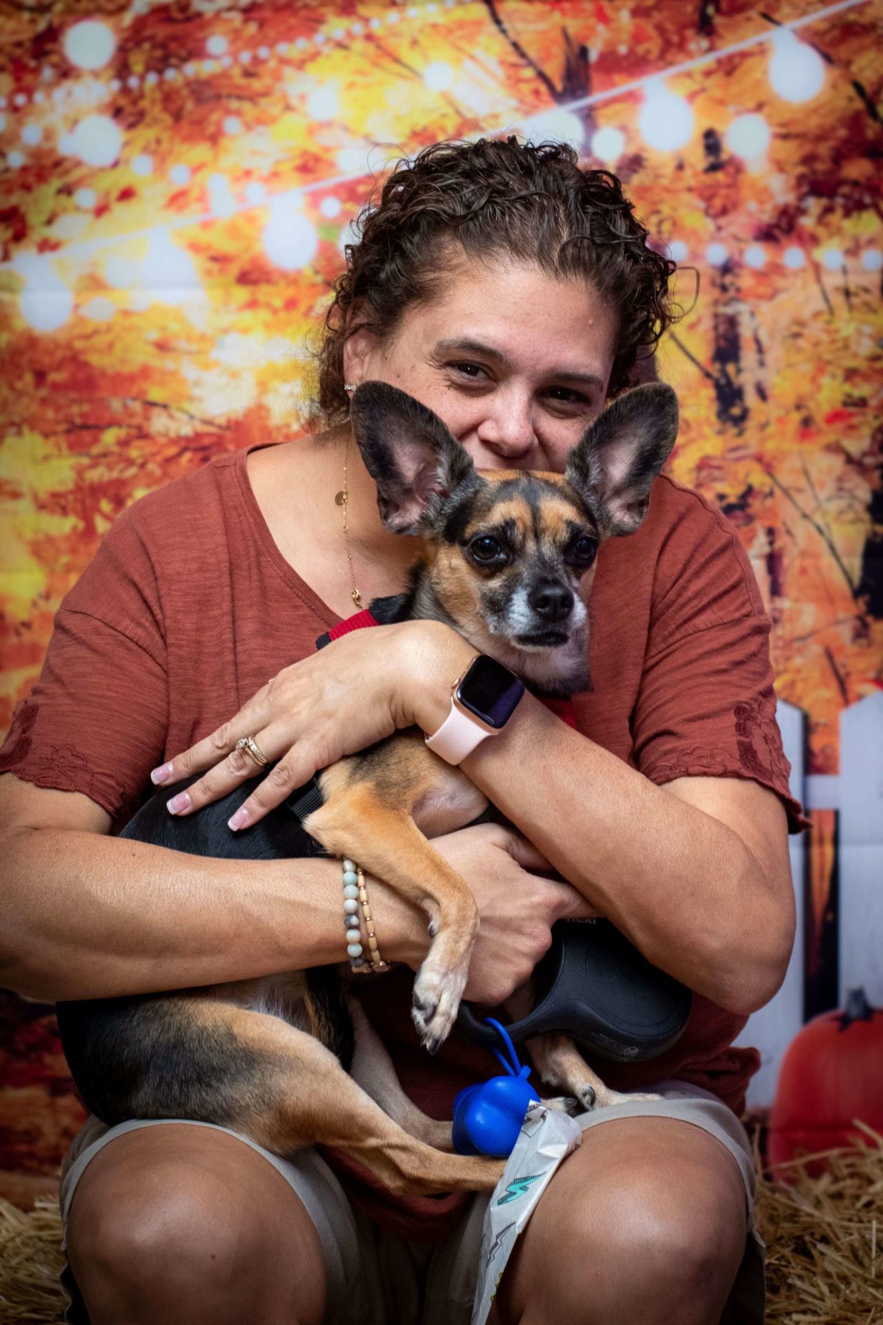 Harbor Point Animal Hospital Gallery | Vet Clinic NC 28117