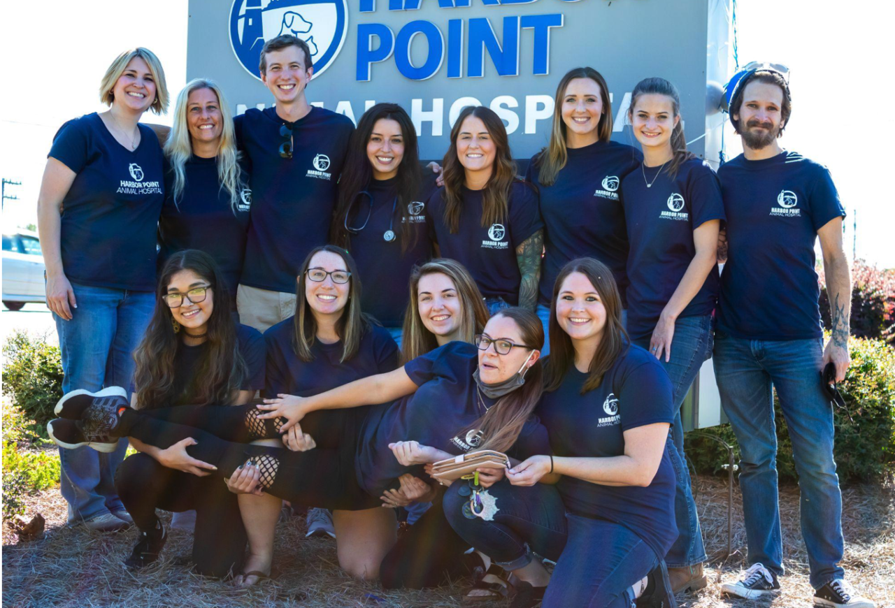 About Harbor Point Animal Hospital | Vet in Mooresville, NC About Harbor Point Animal Hospital | Vet in Mooresville, NC