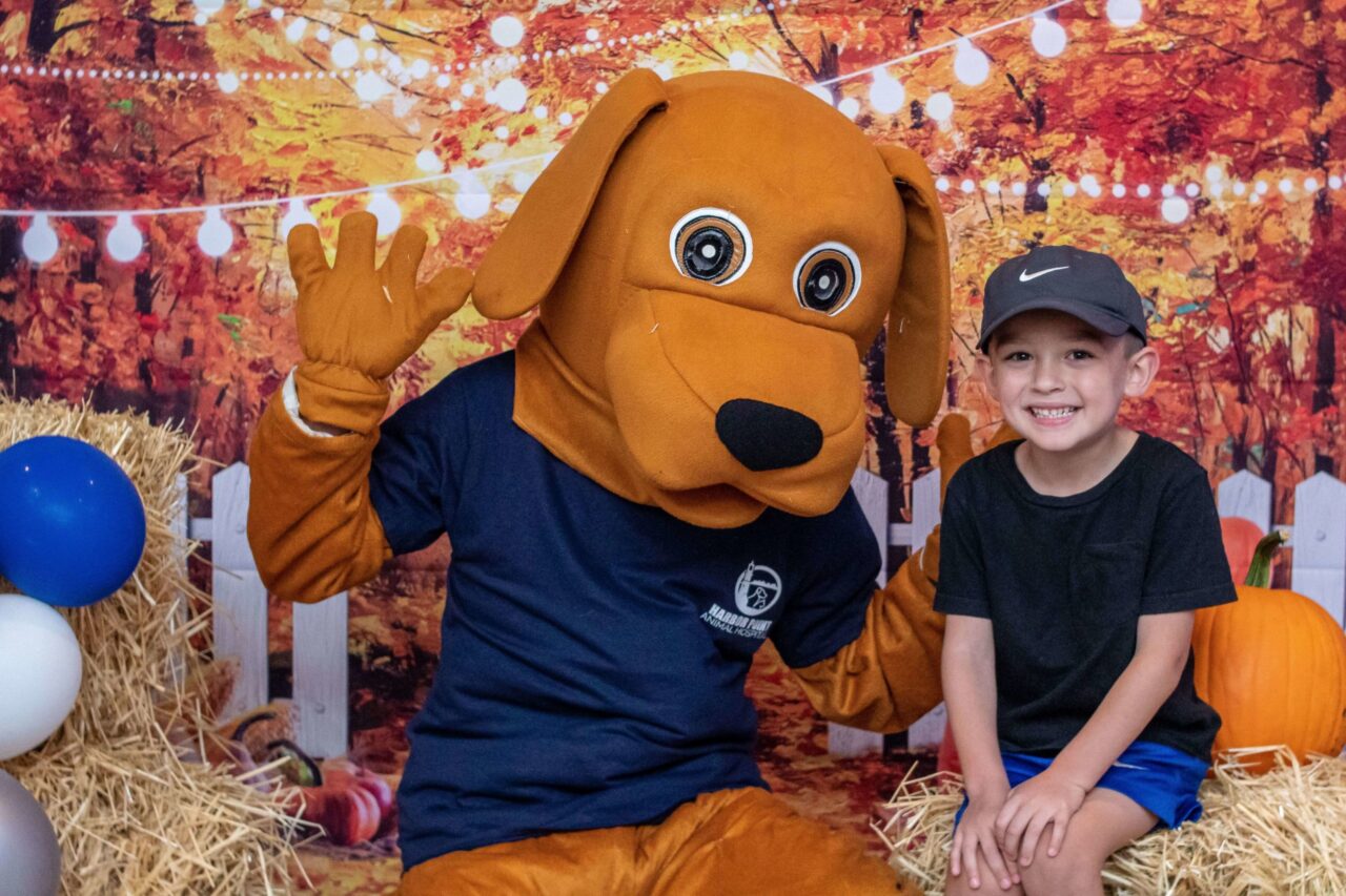 About Harbor Point Animal Hospital | Vet in Mooresville, NC About Harbor Point Animal Hospital | Vet in Mooresville, NC