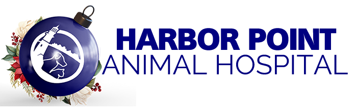Best Veterinary Hospital in Mooresville, NC Best Veterinary Hospital in Mooresville, NC